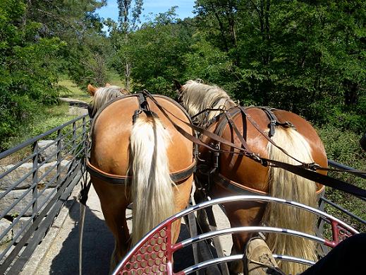 balade - Les jardins en partage